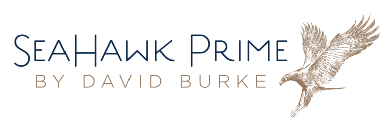 ABOUT - Seahawk Prime by David Burke